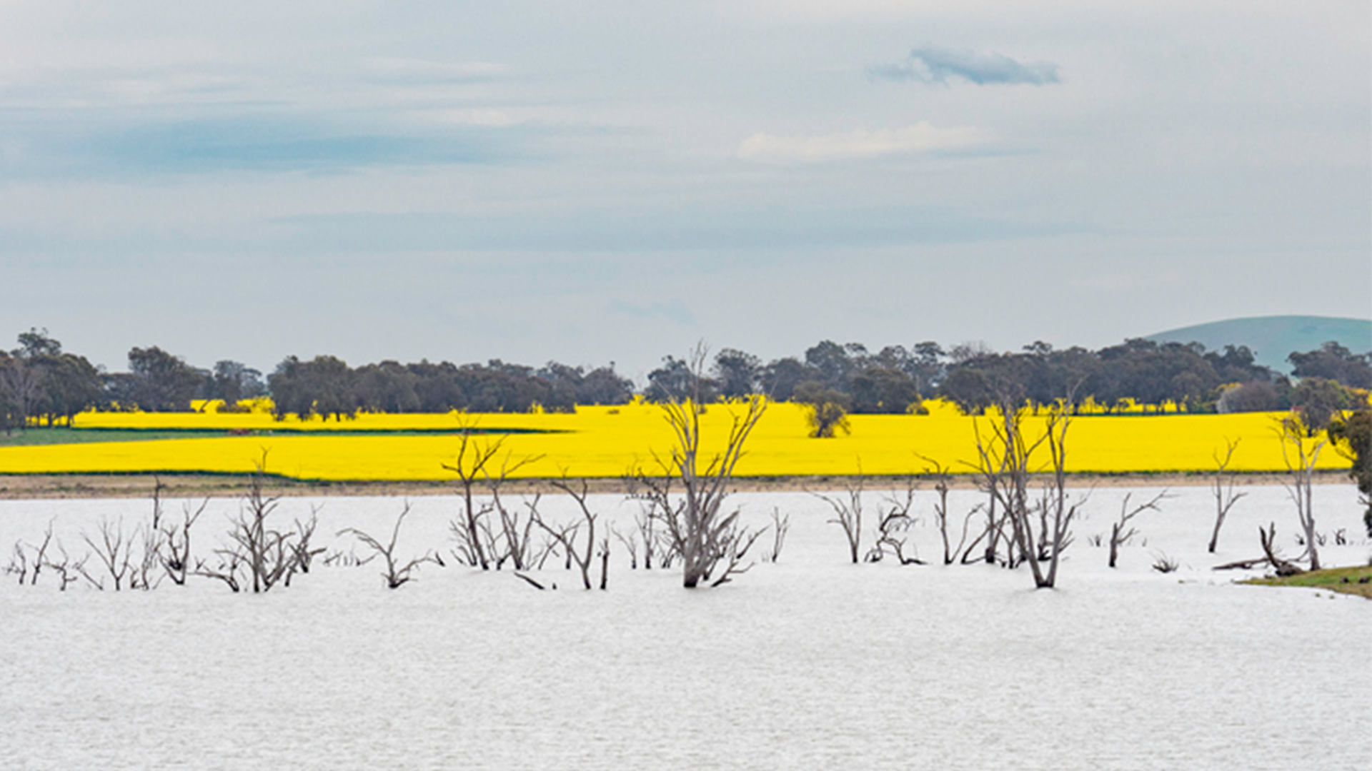 Insurance roundtable puts cyclone pool in the spotlight - ANZIIF