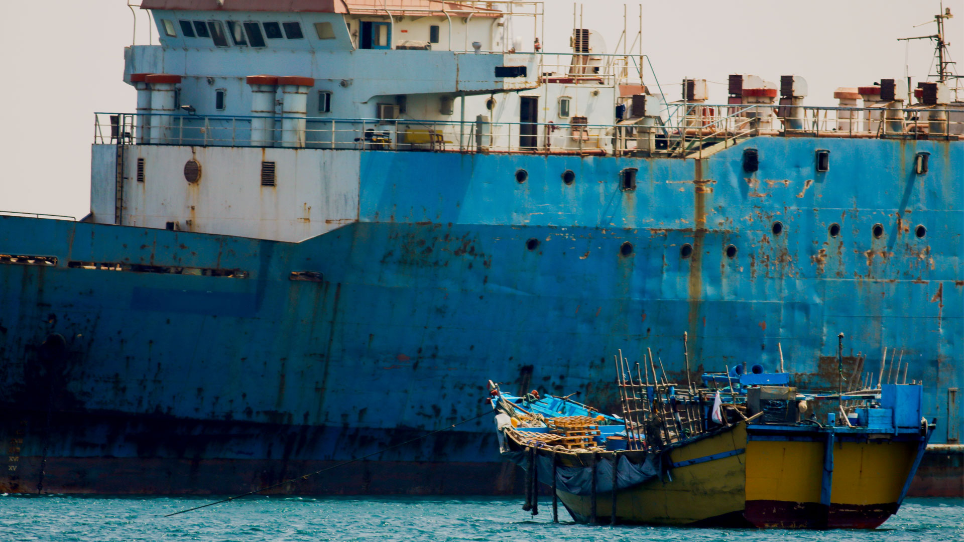 The rising costs of piracy - ANZIIF