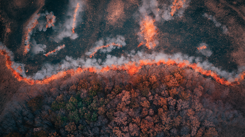 Navigating natural catastrophes and man-made risks - ANZIIF